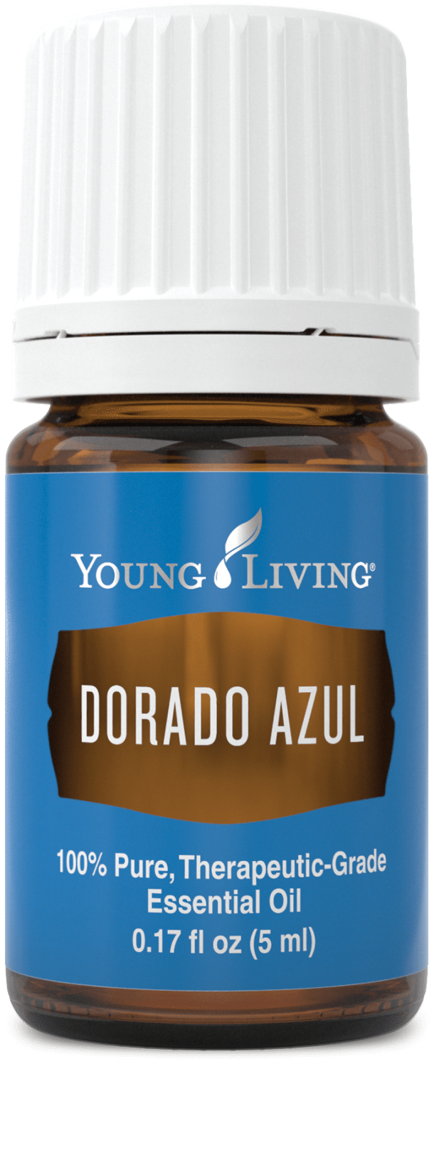 Dorado Azul | Living Lights Embrace